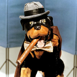 Insult Comic Dog Triumph Poised for 2012 Election - Carl Anthony Online