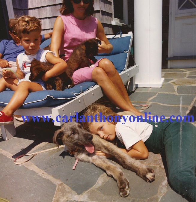 The Dogs of Jackie O: Thirty Pictures of Jacqueline Kennedy’s Lifetime ...