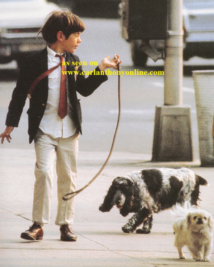 Jackie Kennedy’s Dogged Influence on JFK Jr. & Canine-Themed Homes ...