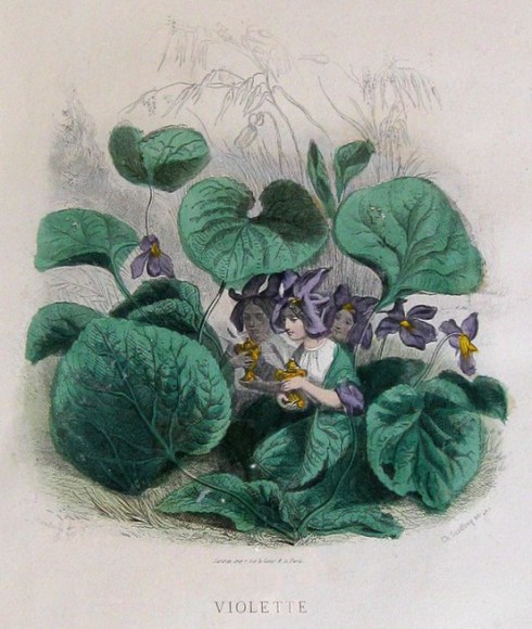 Empire State Violet Pie: A Victorian New York Florality - Carl Anthony ...